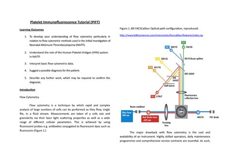 4 Pift Tutorial 2021 Platelet Immunofluorescence Tutorial Pift