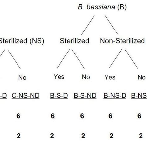 Experimental Design Scheme Of Experiment 3 The 12 Combinations Of 6 Download Scientific