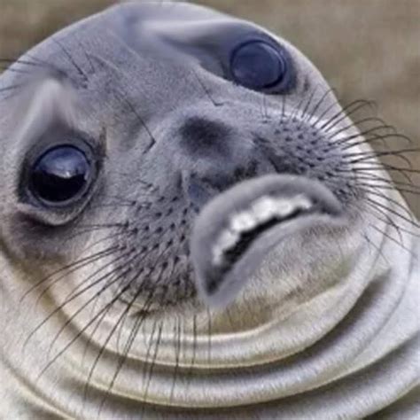 Amlnzungoo Rrhba2sjqpoqnnxaw1zfwgorfwbwks900 C K C0x00ffffff No Rj