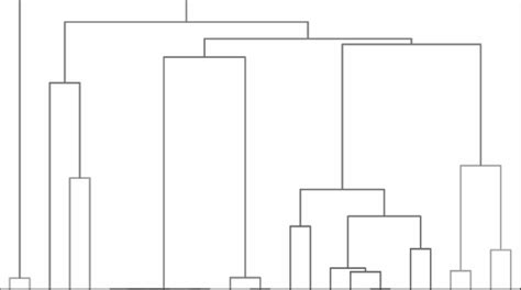 Agglomerative Clustering Of Classification Metrics Using Spearman Rank