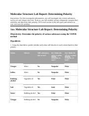 Molecular Structure Lab Report Docx Molecular Structure Lab Report Determining Polarity