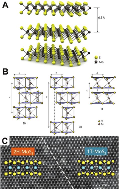 A Three Dimensional Representation Of The Structure Of Mos 2 Download Scientific Diagram