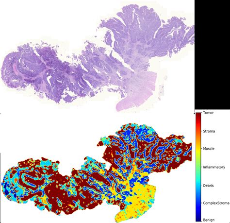 qualitative evaluation the results of the proposed deep mrdl algorithm