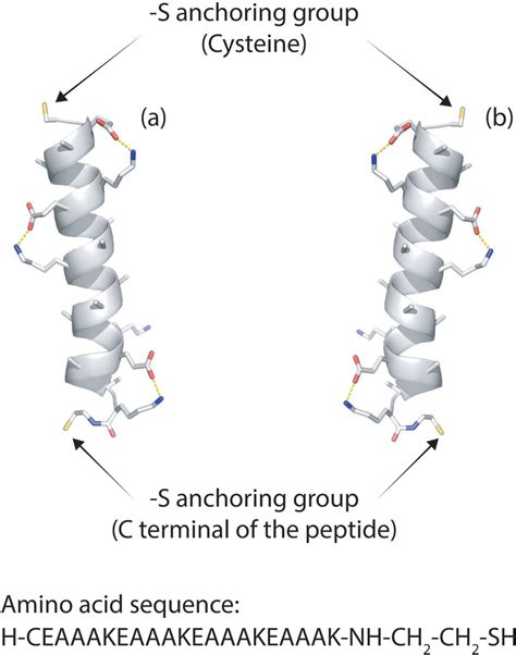 First Case Of Observed Current Asymmetries In Single Chiral Molecular Junctions Mapping Ignorance