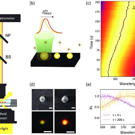 A Scheme Of The Closed Loop Plasmon Driven Np Growth To Fine Tune The
