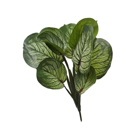 ხელოვნური მცენარე Decor Gallery