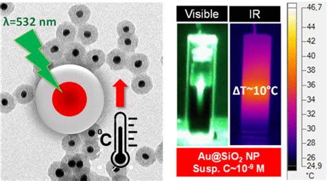 二氧化硅纳米壳的结构和物理化学性质在二氧化硅涂层金纳米粒子悬浮液的光热效应中的重要性 Langmuir X Mol
