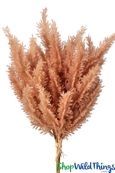 Artificial Flocked Pampas Grass Bundle 13 Nutmeg Flower Spray