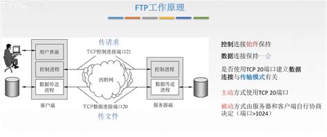 王道考研 计算机网络笔记 第六章：应用层王道计算机网络 第六章笔记 Csdn博客