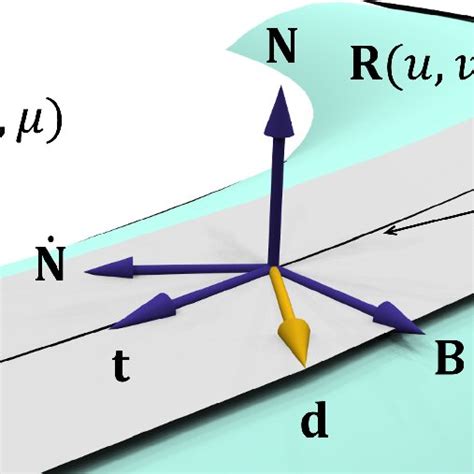 left developable surfaces along directrix curves on a freeform