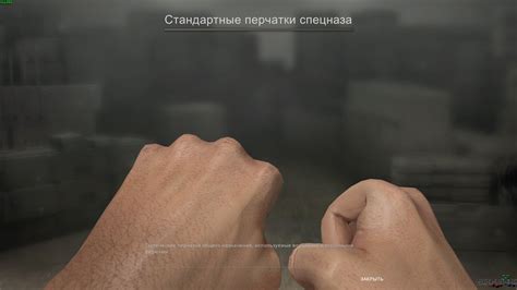 Bare Hands Arms Counter Strike Global Offensive Weapon Models Source Warehouse HL
