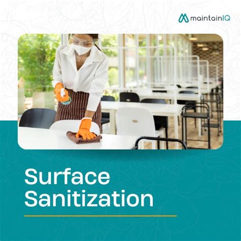 Clean Cuisine Top Hygiene Protocols Every Food Business Must Master