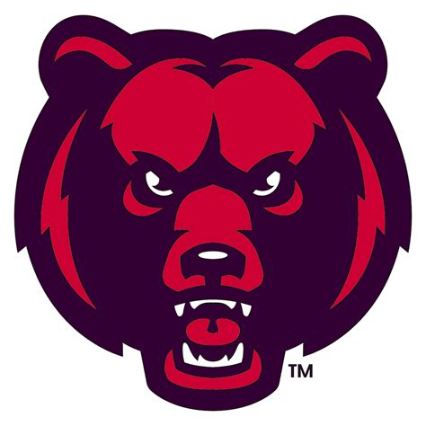 Volleyball Game Preview Chittenango Bears Vs Vernon Verona Sherrill Red Devils