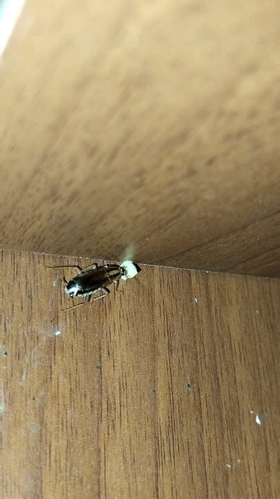 Sm Bashar Posted On Linkedin