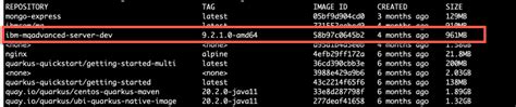 Running Your Ibm Mq Apps On Quarkus And Graalvm Using Qpid Amqp Jms