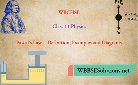 Pascals Law Definition Examples And Diagrams Wbbse Solutions Pascals Law Definition Examples And Diagrams Wbbse Solutions