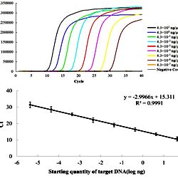 Determination Of The Detection Limit Of The Real Time PCR And Standard Curve