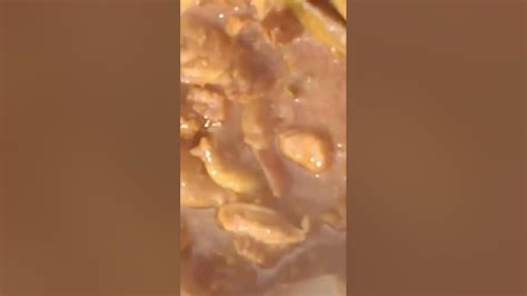 মুরগি রান্না Youtube