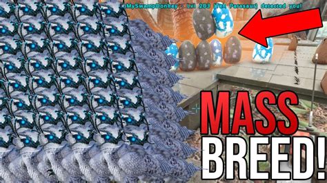 MASS BREEDING GLITCH On Official!!! ARK Official PvP! - YouTube