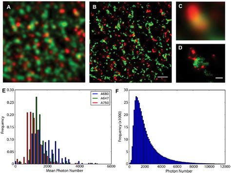 Two Dimensional Super Resolution Imaging Of The Distribution Of