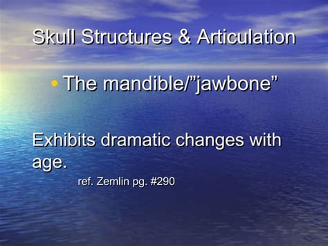 His 120 Skull Structure And Articulation Ppt