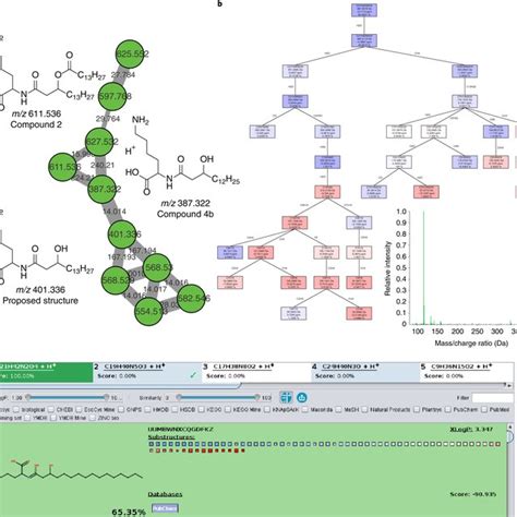 Example Of Sirius 4 Isotope Pattern Analysis For Ms Ms Data A Mse Download Scientific Diagram