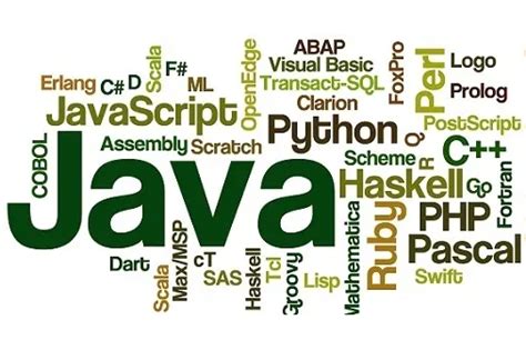 零基础编程入门先学什么?哪一个更有前途? 师界通•教育资源平台 零基础编程入门先学什么?哪一个更有前途? 师界通•教育资源平台