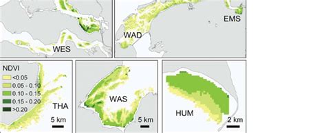 Spatial Variation In Long Term Mean Ndvi Download Scientific Diagram