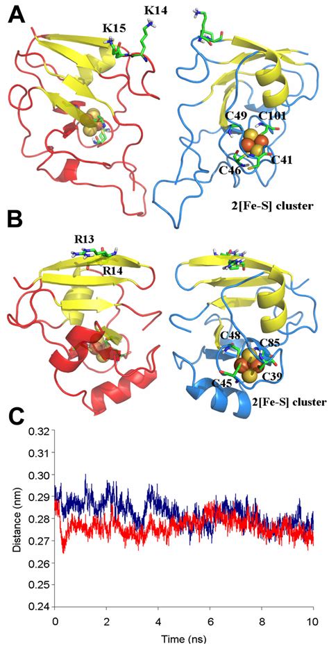 Conserved Core Structure Of The Dimer Complexes Of Fesii And Gdia0615
