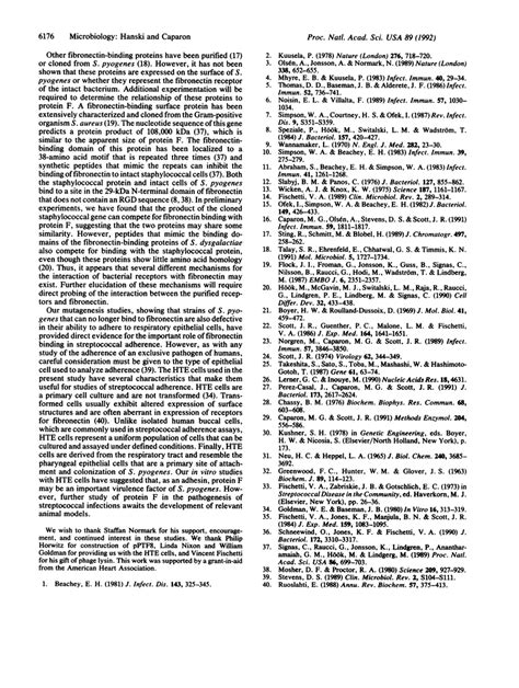 Protein F A Fibronectin Binding Protein Is An Adhesin Of The Group A