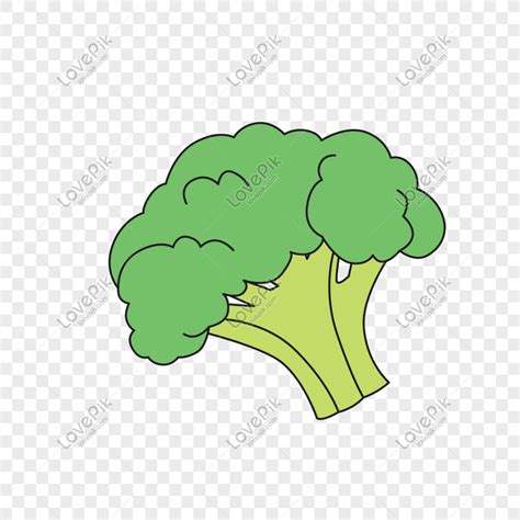 손으로 그린 브로콜리 벡터 Png Png 일러스트 무료 다운로드 Lovepik