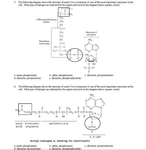 Solved The Following Diagram Shows The Structure Of Chegg Com