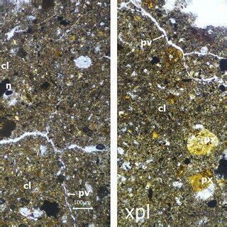 Result Of The LSD Test From Soil Bulk Density Porosity And Download Scientific Diagram