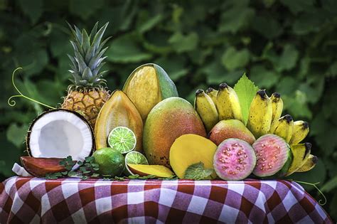 코코넛 라임 과일 망고 파인애플 바나나 열대 Feijoa Hd 배경 화면 Wallpaperbetter
