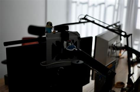 Premium Photo Input Device