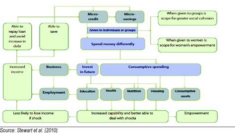 Figure 1 From The Impact Of A Rural Microcredit Scheme Targeting Women