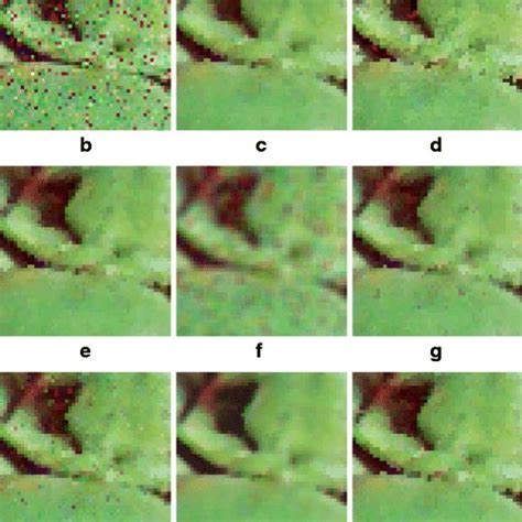 original color test images a lena 512 × 512 b peppers 512 ×