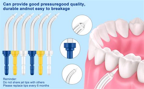 Raxseg Flosser Replacement Tips For Waterpik Periodontal