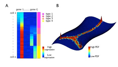 Diffusion Maps For High Dimensional Single Cell Analysis Of Differentiation Data RNA Seq Blog