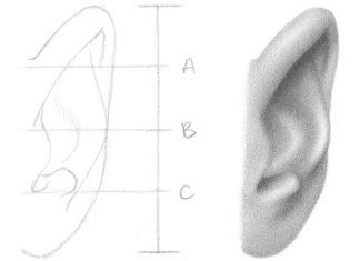 How To Draw An Ear From The Front In Steps RapidFireArt