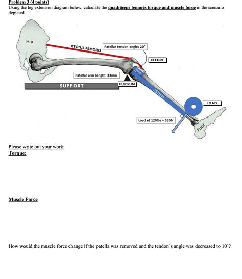 Solved Problem 3 4 ﻿pointsusing The Leg Extension Diagram