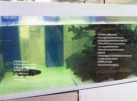 Ive Got A Meme Fresh Off The Assembly Line Boys Rhistorymemes