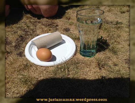 Fun Physics Egg Drop Just A Mum S Kitchen