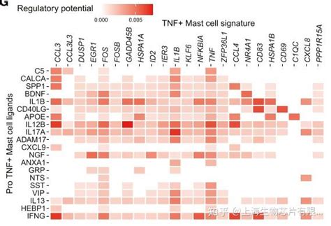 百篇文献汇总精华！单细胞高级分析（三） 知乎
