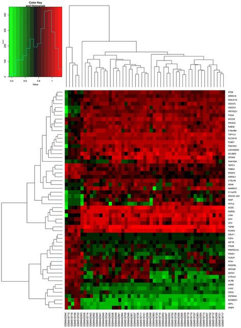 Hierarchical Clustering Heatmap Of Fractional DEGs The Horizontal Axis