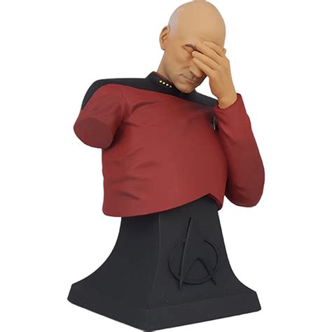 Star Trek The Next Generation Captain Picard Facepalm Mini Bust Paperw