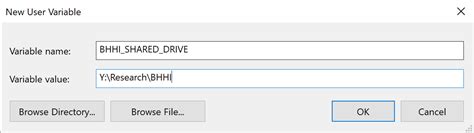 Bhhi Stata Style Guide