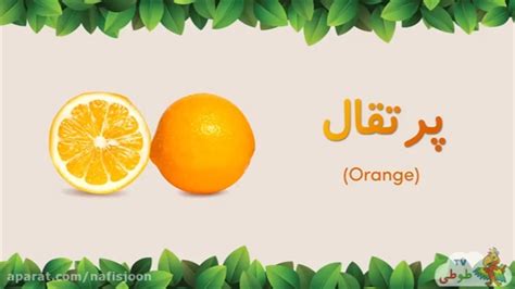 آموزش میوه به کودکان نماشا