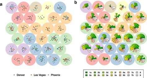 final som nodes circles and associated clusters background colors