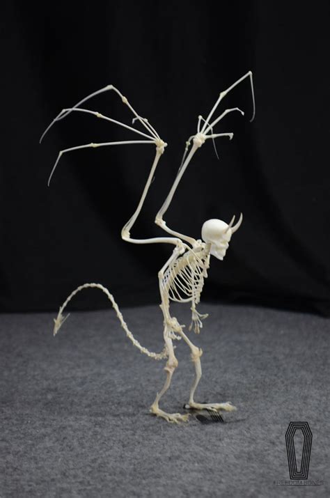 Freedom Bones Little Devil Skeleton Holy Buyble